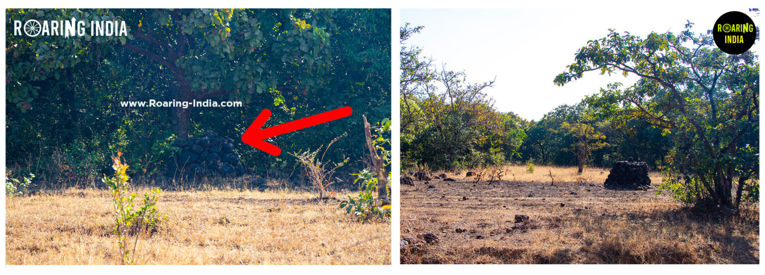 Chandoli National Park, Warana Dam, Maharashtra - Roaring India Tourism