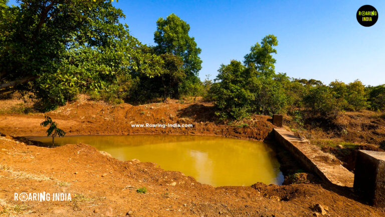 Chandoli National Park, Warana Dam, Maharashtra - Roaring India Tourism