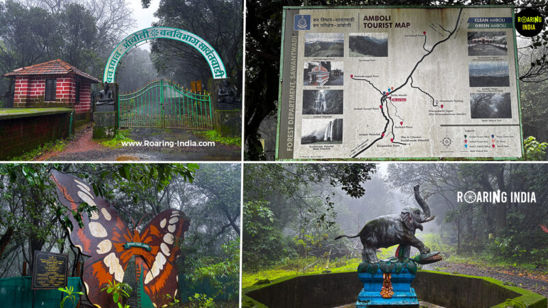 Amboli Waterfalls - Exploring the Best Tourist Places of Amboli Ghat in ...