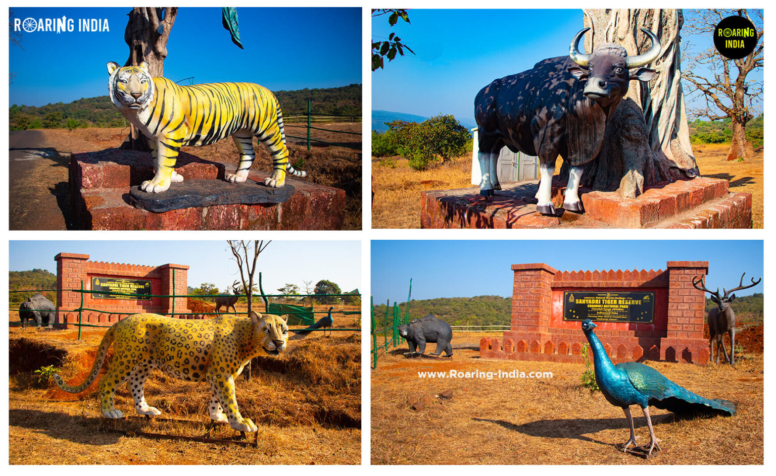 Chandoli National Park, Warana Dam, Maharashtra - Roaring India Tourism