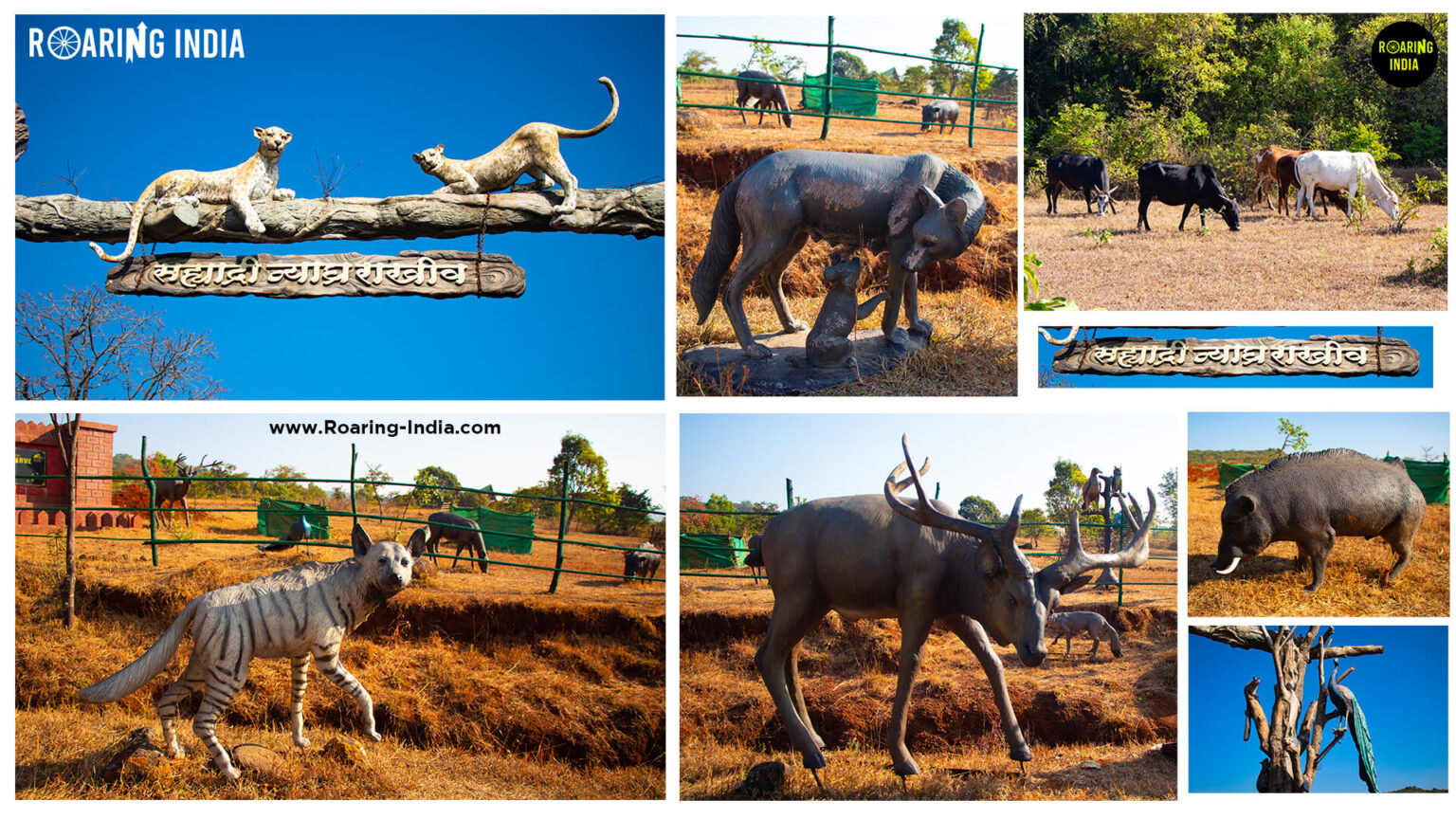 Chandoli National Park, Warana Dam, Maharashtra - Roaring India Tourism