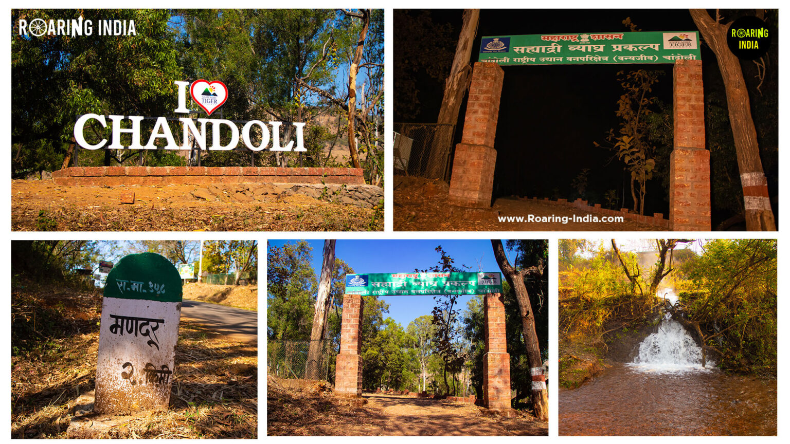 Chandoli National Park, Warana Dam, Maharashtra - Roaring India Tourism