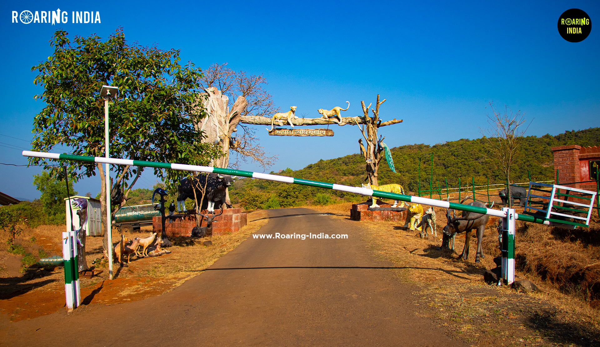 Chandoli National Park, Warana Dam, Maharashtra - Roaring India Tourism
