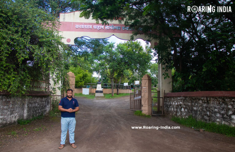 Sagareshwar Wildlife Sanctuary, Sangli, Maharashtra - Roaring India Tourism