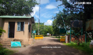 Sagareshwar Wildlife Sanctuary, Sangli, Maharashtra - Roaring India Tourism