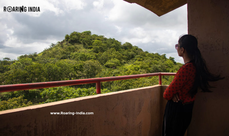 Sagareshwar Wildlife Sanctuary, Sangli, Maharashtra - Roaring India Tourism